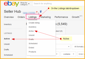 Why is my eBay Listing Not Showing Up? | Easy Fixing Guide